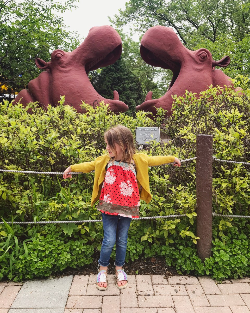 zoo 2009 v. 2019